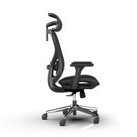 China Wholesale Price Ergonomic Office Chair Mesh Comfortable Office Chair With 2D Adjustable Headrest for sale