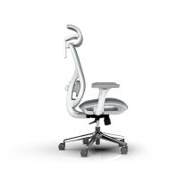 China Modern Grey Full Mesh Ergonomic Office Chair with 4D Adjustable Armrests and 2D Headrest for sale