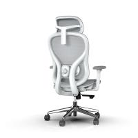 China Modern Grey Full Mesh Ergonomic Office Chair with 4D Adjustable Armrests and 2D Headrest for sale
