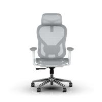 China Modern Grey Full Mesh Ergonomic Office Chair with 4D Adjustable Armrests and 2D Headrest for sale