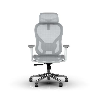 China Modern Grey Full Mesh Ergonomic Office Chair with 4D Adjustable Armrests and 2D Headrest for sale