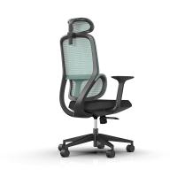 China Office Furniture Ergonomic Adjustable Swivel Task Chair With Headrest for sale