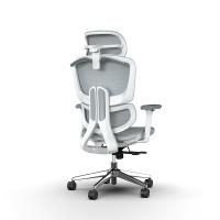 China Modern Mesh Seat And Back Office Chair Ergo High Back Adjustable Mesh Office Chair With 4D Adjustable Armrests for sale
