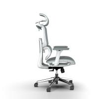 China Modern Mesh Seat Chair Height Adjustable Ergonomic All Mesh Office Chair Adjustable Arms for sale