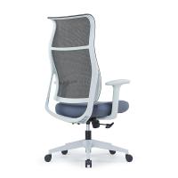 China Ergonomic Mesh Office Chair with Reclining Backrest Fixed Lumbar Support and Five Star Base for sale