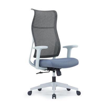 China Ergonomic Mesh Office Chair with Reclining Backrest Fixed Lumbar Support and Five Star Base for sale