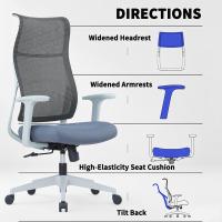 China Ergonomic Mesh Office Chair with Reclining Backrest Fixed Lumbar Support and Five Star Base for sale