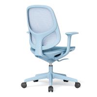China Ergonomic Mesh Office Chair with Breathable Mesh Backrest 100mm Stroke Gas Lift and 330mm PP Five-Star Base for sale