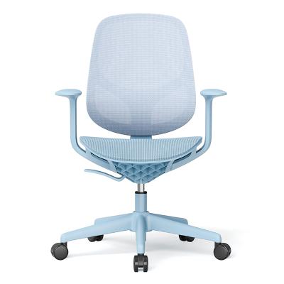 China Adjustable Mesh Office Chair with 360 Degree Swivel and Breathable Mesh Backrest CH-597B-H1S for sale