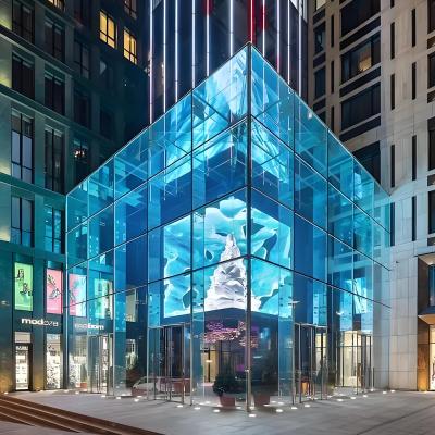 China IP65 Waterproof Transparent LED Video Wall Neon Strips Indoor Office Mall Hotel Plug Powered Signage Display for sale