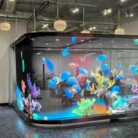 China Custom IP65 Waterproof Transparent LED Video Wall Building Signage Office Indoor Outdoor Neon Digital Display for sale