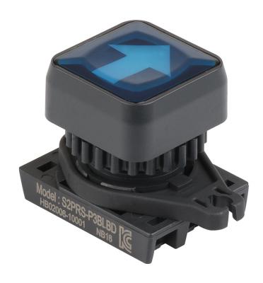 China Ø22/25 Square Push Button Switches (Extended / Illuminated) for sale