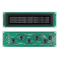 China European 4004A2 COB LCD Module 190x54mm Black Film Display with ST7066U Controller for sale