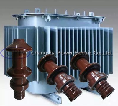 China DIN Standard 10kV 10NF250 Transformer Porcelain Bushing 295mm Height OEM Available for sale
