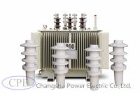 China IEC Class 3RSC High Voltage Transformer Porcelain Bushing Bright White for sale