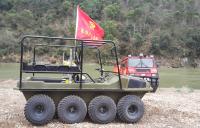 China Armor Vehicles With 800cc Engine 9.5 1 Compression Ratio Electronic Injection Ignition That Can Climb Upto for sale