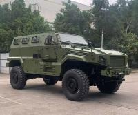 China 830KG 800cc Engine Military Armoured Vehicle with 1500mm Track for sale