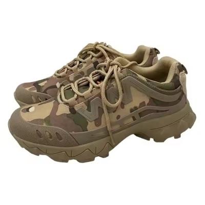China Tactical Training Hiking Shoes Outdoor Low Top Security Combat Shoe for Outdoor Activities for sale