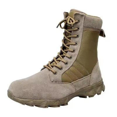 China Tactical Footwear Leather And Nylon Fabric Comfortable Training Shoes for sale