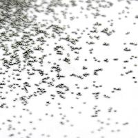 China SUS201 Stainless Steel Cut Wire Shot Conditioned for sale