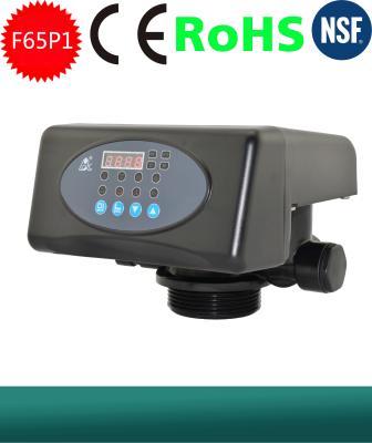 China RO Systems Parts Runxin Multiport Valve Automatic Softening Control Valve F65P1 for sale