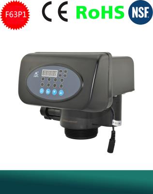 China Runxin F63P1 Automatic Softener Control Valve Multi-port Valve for Softeners for sale