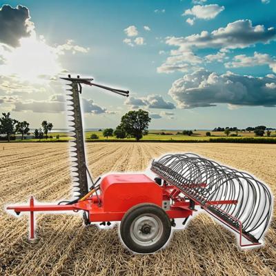 China Hot Recommend Farm Grass Tapping Machine Lawn Mower For Sale Cut Hay Rake Machine for sale