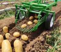 China Farm Tractor Pto Mounted Small Sweet Potato Harvester for sale