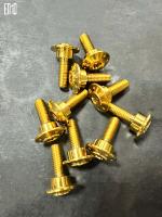China INCA Titanium Alloy Motorcycle Screws 10 Piece Minimum Order Touring Series for sale