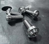 China INCA Titanium Alloy Screws 10-Piece Set for Breakout Softail Rear Disc Brake for sale