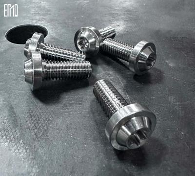 China INCA Titanium Alloy Screws 10-Piece Set for Breakout Softail Rear Disc Brake for sale