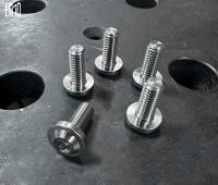 China Front Disk Titanium Alloy Screws 10 Pieces MOC For Breakout / Softail Series for sale
