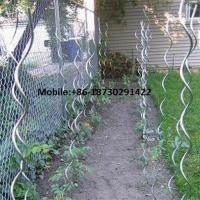 China Factory Supply good price  Tomato Spiral Wire for sale