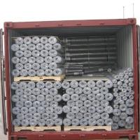 China Hot Dipped Galvanized Chicken Wire Mesh , 50mm 2'' Bird Cage Wire Mesh for sale