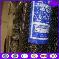 China Hexagon Wire Netting Factory for sale