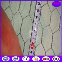 China Chicken Wire Mesh for Poultry or Agricultural Using for sale