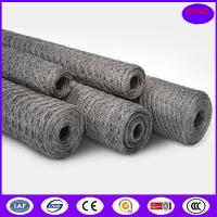 China High Quality Small Hole Chicken Wire Mesh for sale