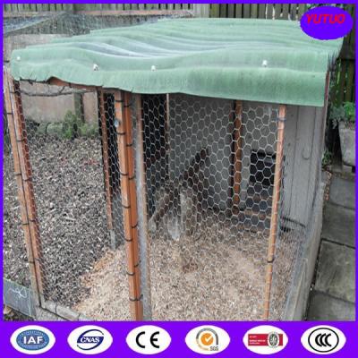 China PVC Coated & Galvanized Chicken Hexagonal Wire Mesh for sale