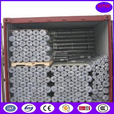 China Plant Protection Hexagonal Wire Mesh for sale