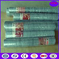 China Rabbit Wire Netting & Rabbit Fence 31mmx0.91mm ,0.31mmx1.0mm ,0.31mmx1.2mm for sale