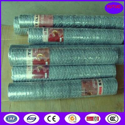 China Rabbit Wire Netting & Rabbit Fence 31mmx0.91mm ,0.31mmx1.0mm ,0.31mmx1.2mm for sale