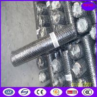 China Hot Dipped Galvanized Hexagonal Wire Netting for sale