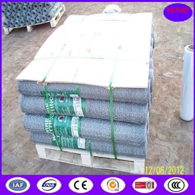 China China Hexagonal Wire mesh Factory for sale