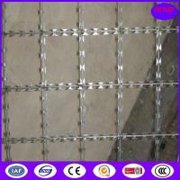 China 75X150mm/150X300mm Welded Razor Mesh Fence, Export to South Africa for sale