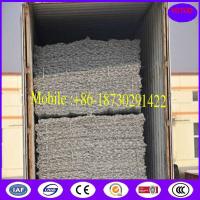 China Galvanized River Bank Protect Gabion Box/Gabion for sale