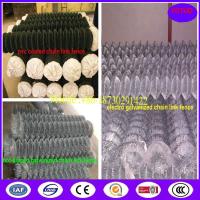 China Hot Galvanized and PVC Coated Chain Link Fence for sale