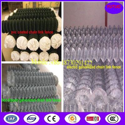 China Hot Galvanized and PVC Coated Chain Link Fence for sale