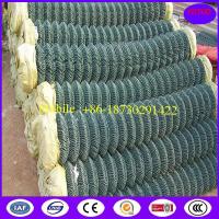 China ISO Lowest Price 50*50 100*100 PVC or Galvanized Chain Link Fence for sale