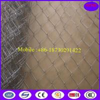 China Chain Link Fence/Chain Link Fencing/Chain Link Wire Mesh (2.5mmx50mmx50mm) for sale