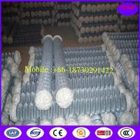 China Chain Link Wire Mesh (25-200 MM) for sale
